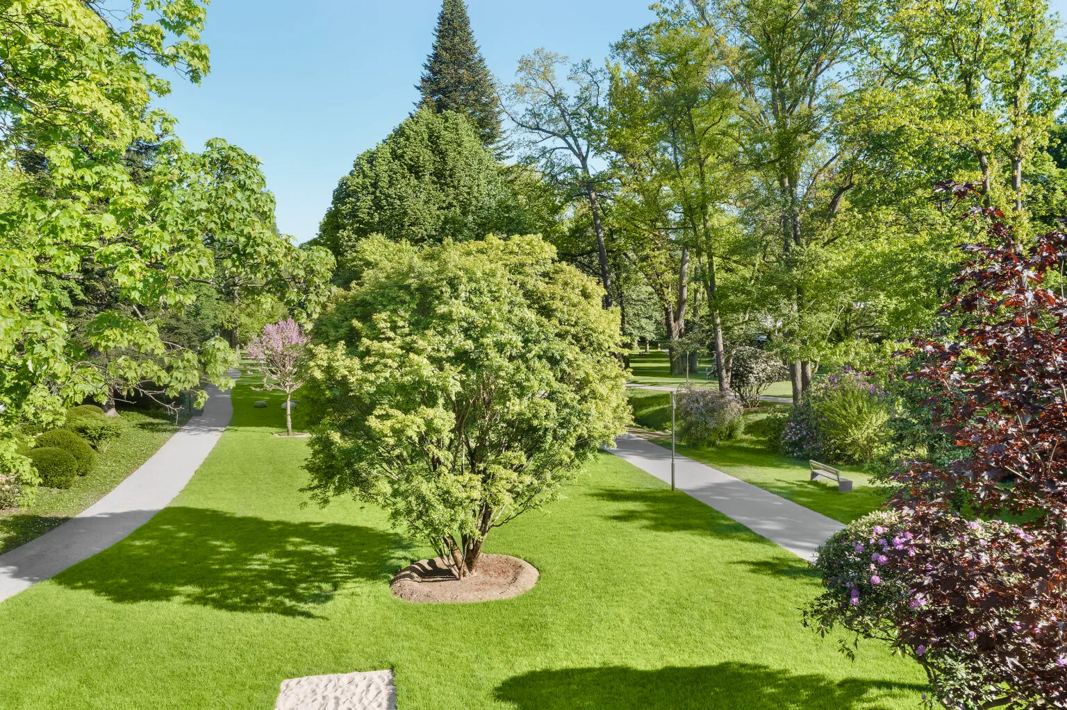 Standort - ALEA SCHOOL